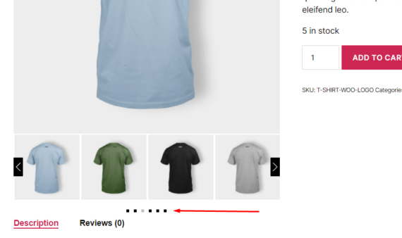 Best Woocommerce Product Gallery Slider Plugins
