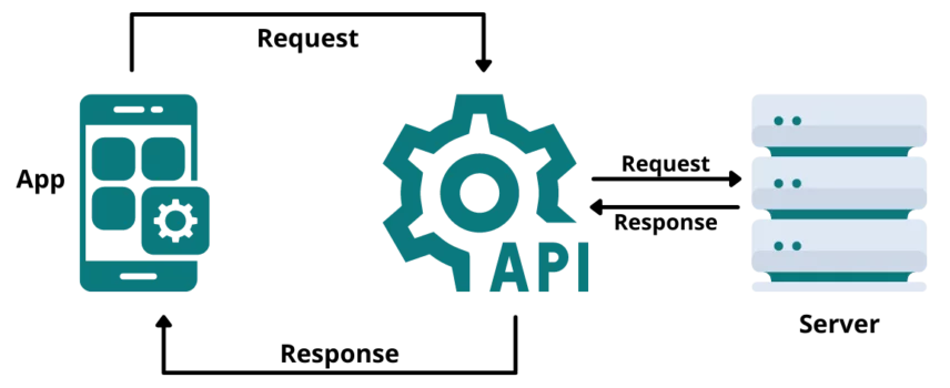 Woocommerce Rest Api Explained For Beginners With Examples
