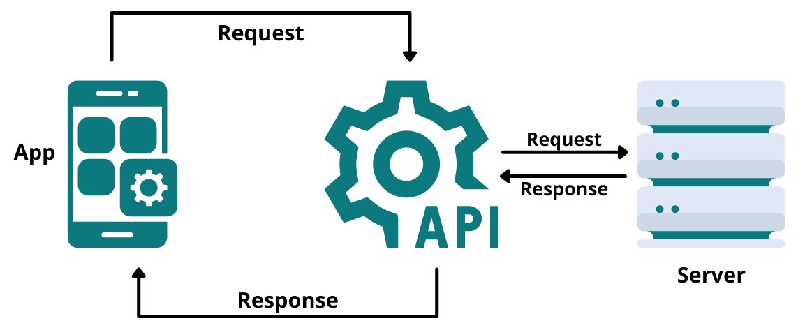 Woocommerce Rest Api Explained For Beginners With Examples