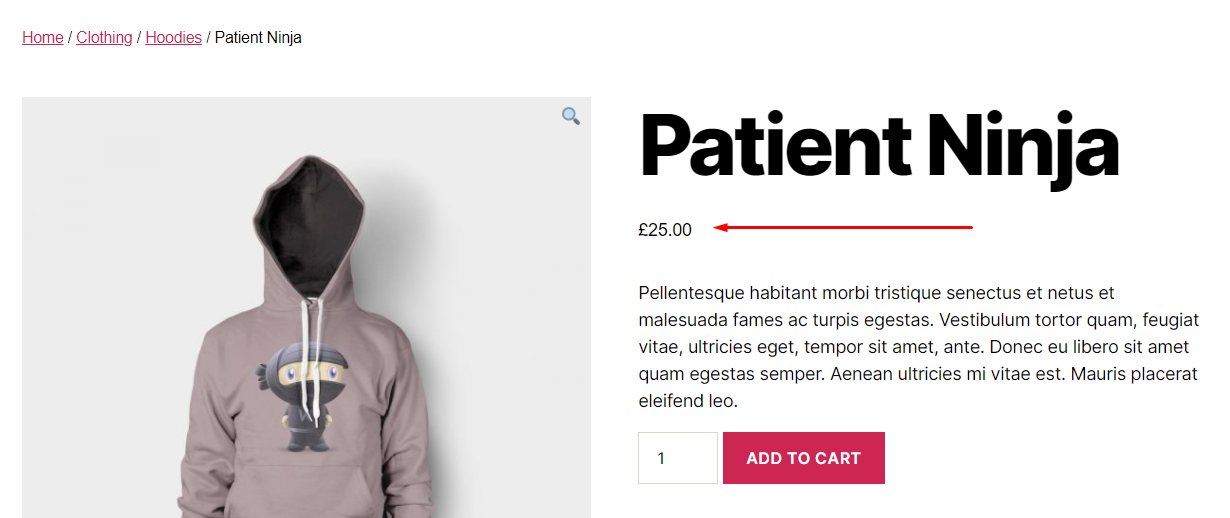 WooCommerce REST API Explained For Beginners With Examples
