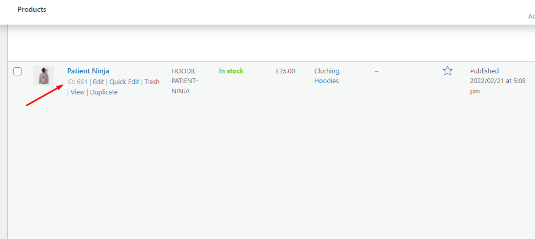 WooCommerce REST API Explained For Beginners With Examples