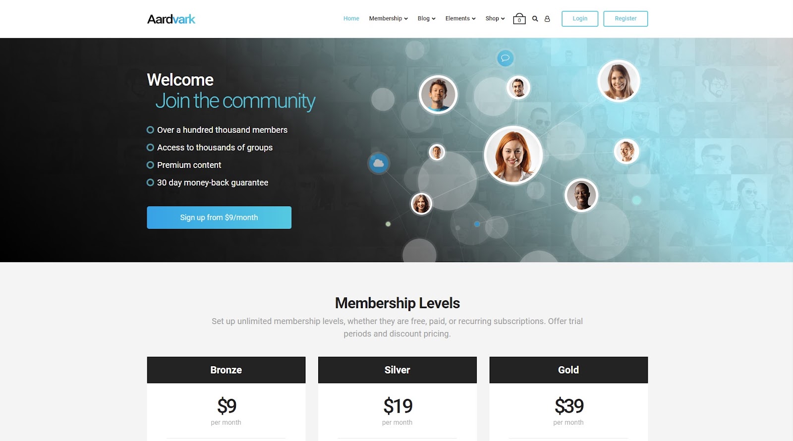 10 Best Premium Membership WordPress Themes for Your Website