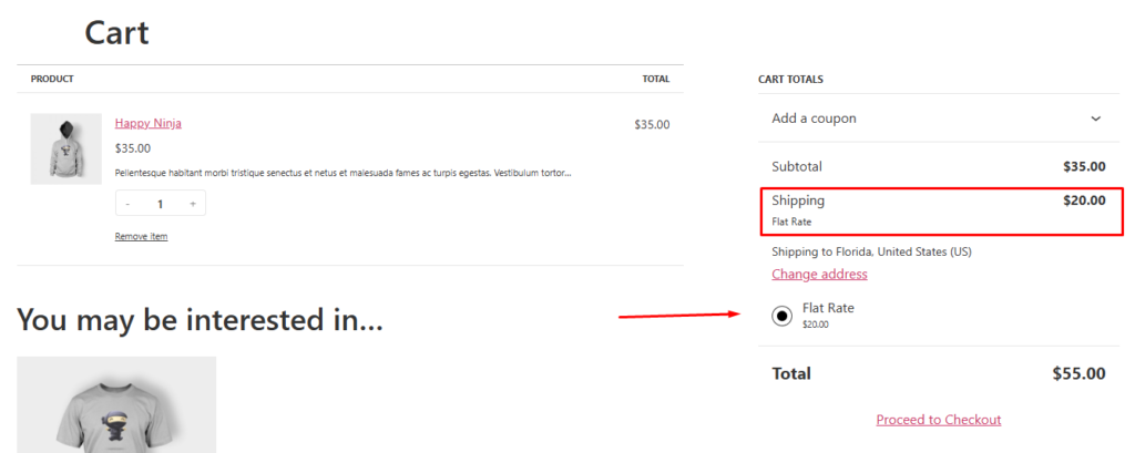 How to Setup WooCommerce Conditional Shipping (Easy Guide) - WEBAPPICK